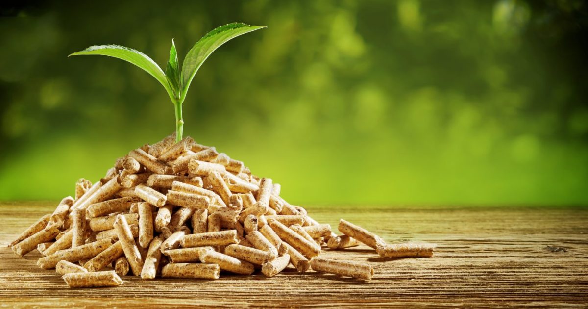 Wall Street Journal: Wood Bioenergy Part of the “Energy Grid of the ...